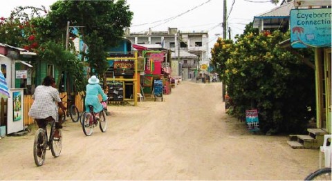 Lizard Tales - The Sisimite/Sisimito - My Beautiful Belize